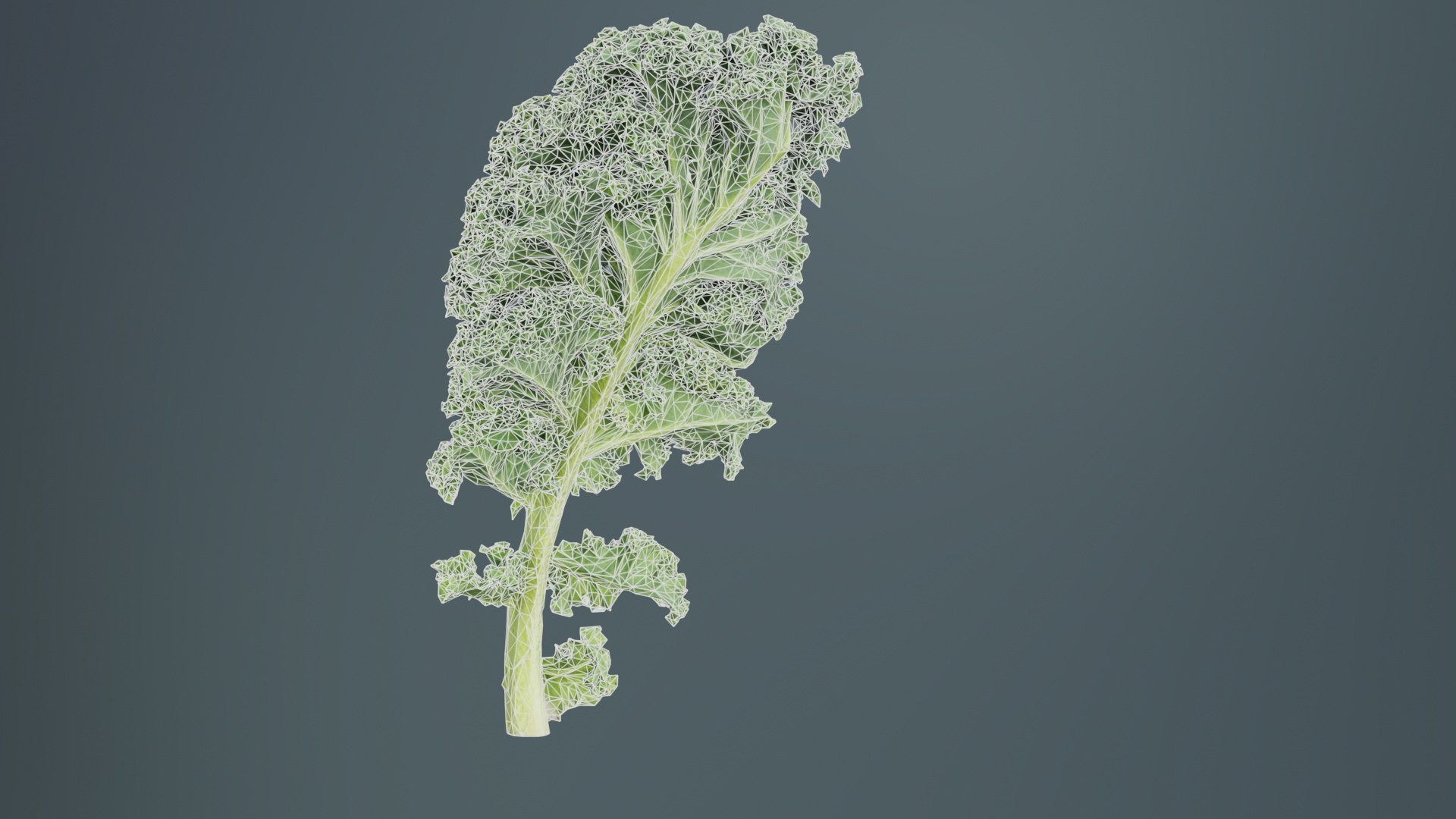 3D Model Lettuce 1 Remastered - TurboSquid 2362443