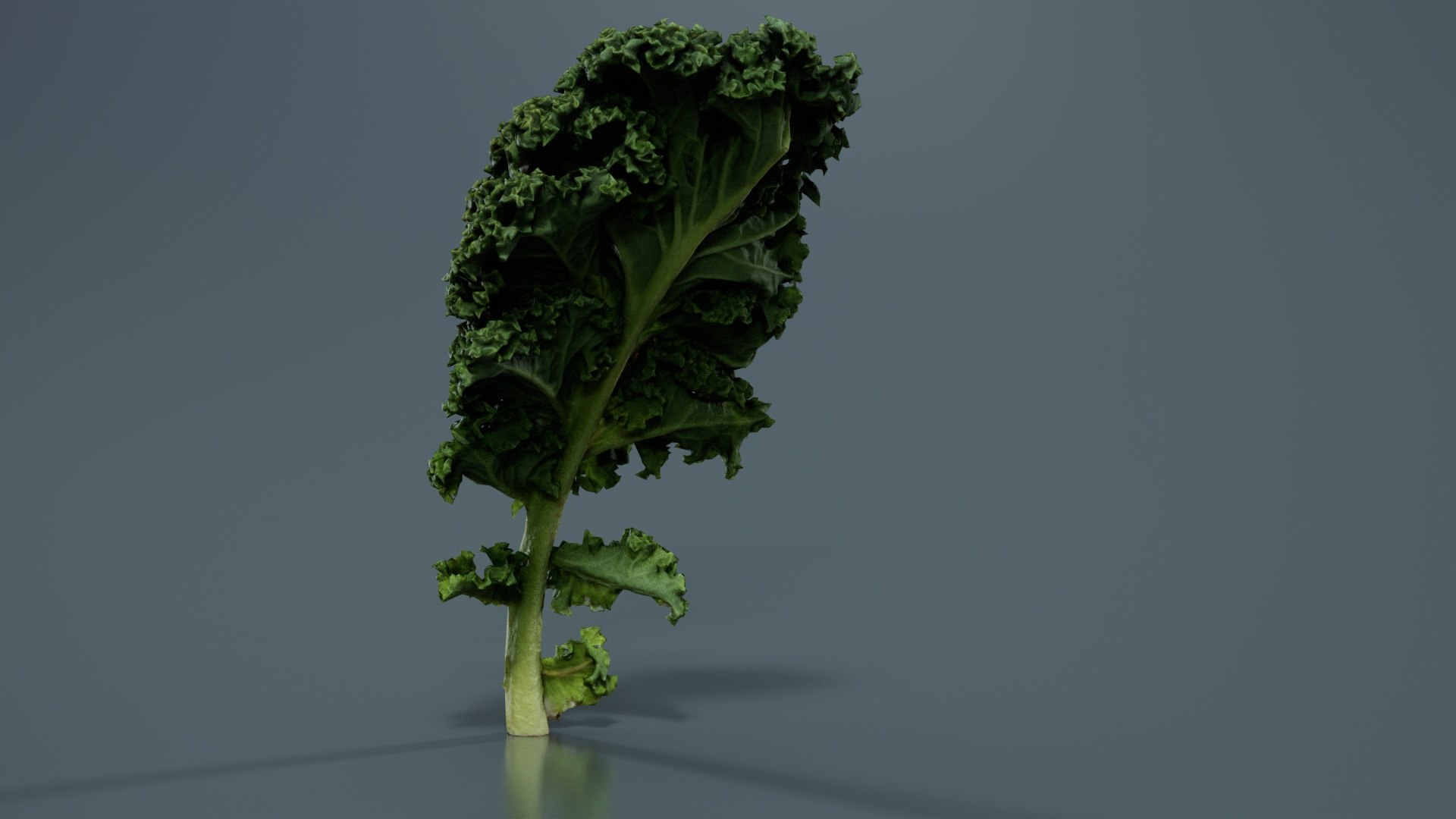 3D Model Lettuce 1 Remastered - TurboSquid 2362443