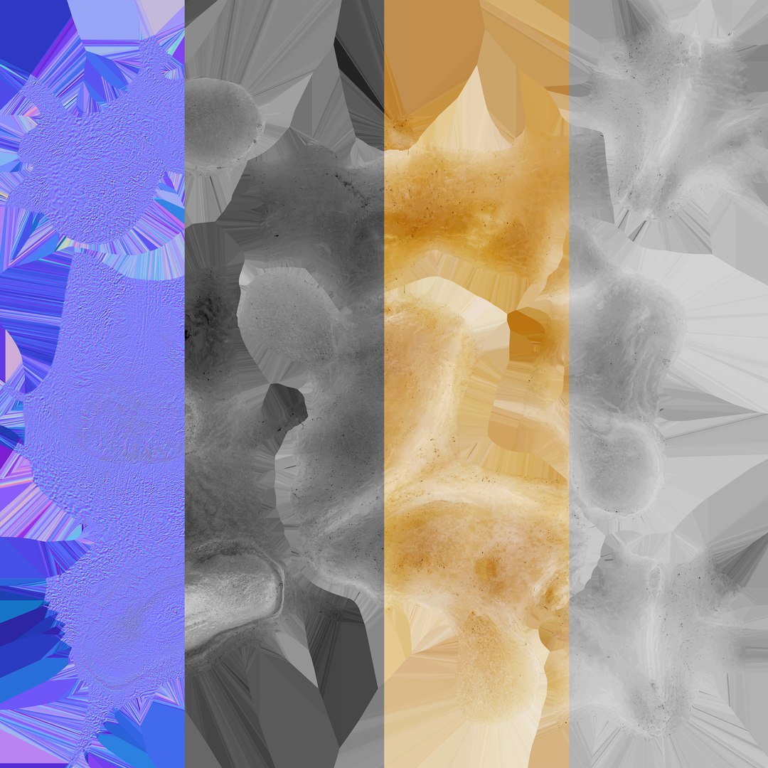 3D Kangaroo Red Necked Wallaby Cervical Vertebrae C4 Model - TurboSquid ...