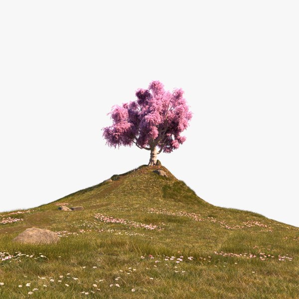 3d model of hills cliffs terrain