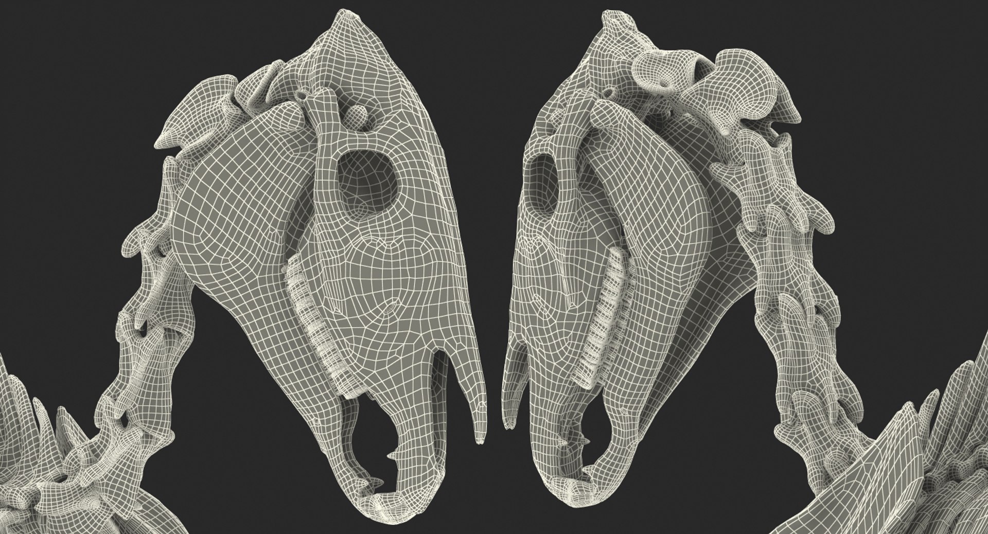 Horse Skeleton Running Pose 3D - TurboSquid 1345091