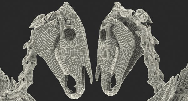 Horse skeleton running pose 3D - TurboSquid 1345091