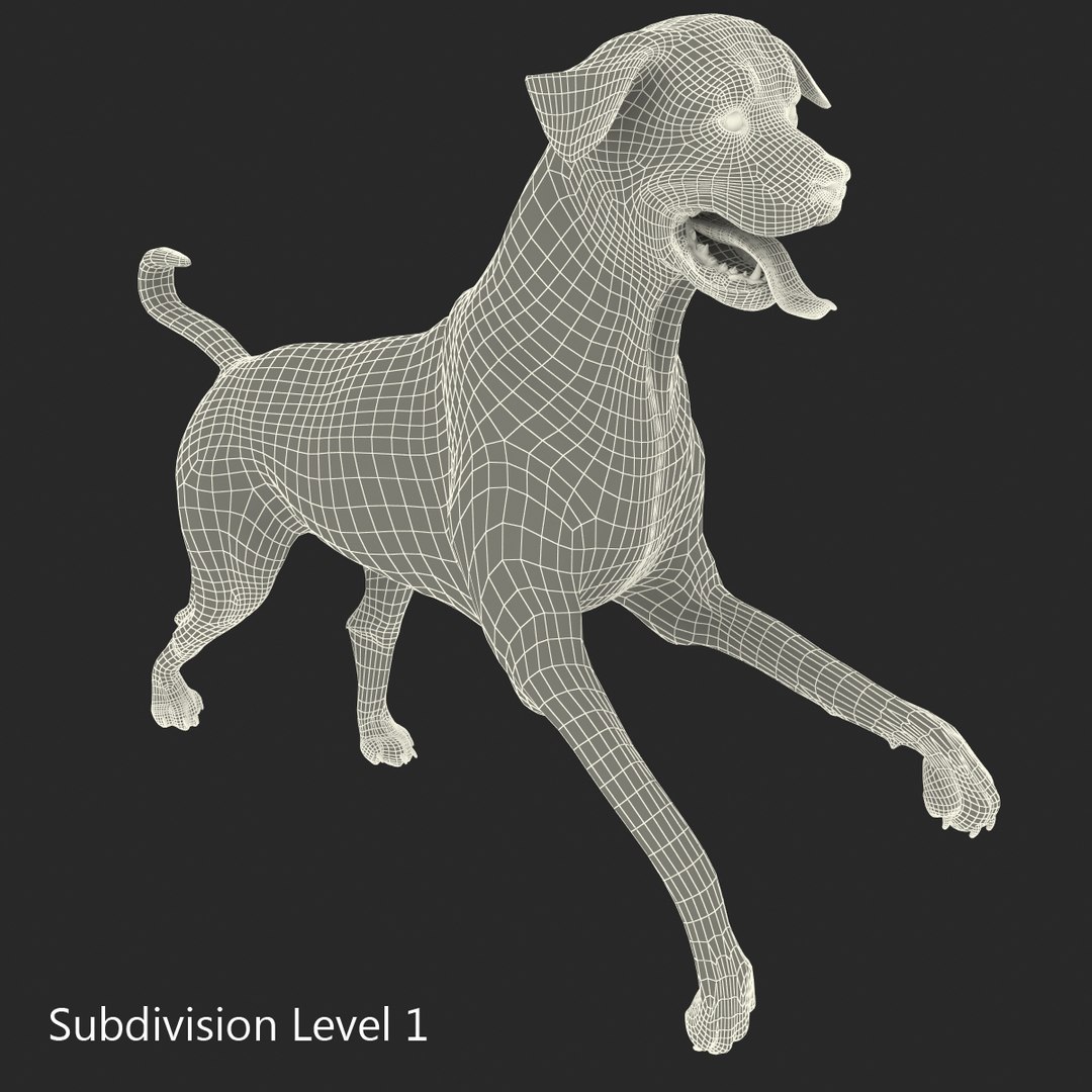 3d model rottweiler pose 2