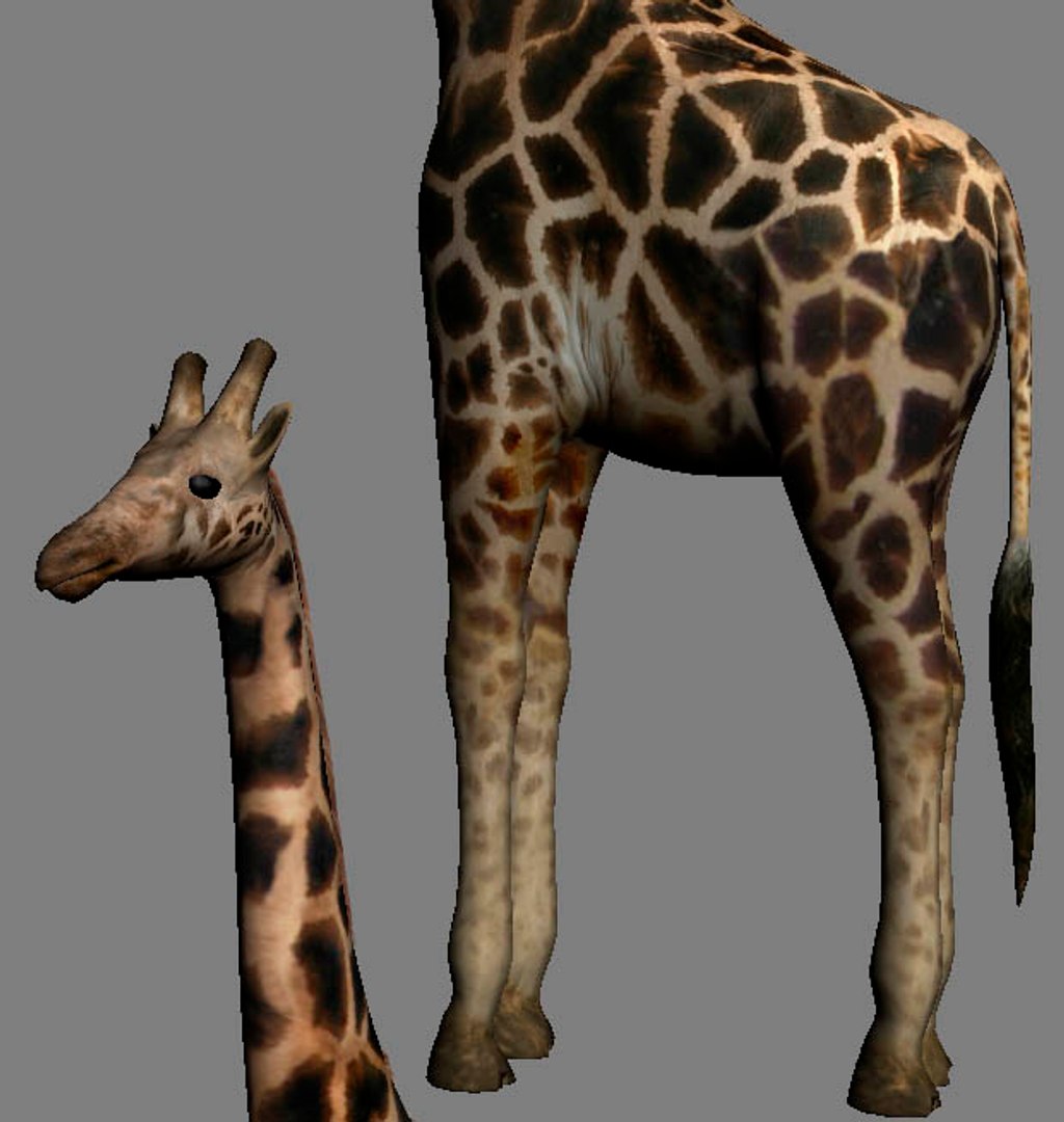 Giraffe Max
