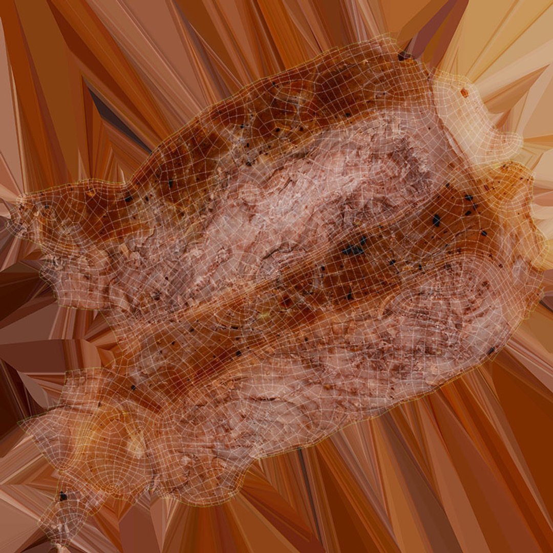 Grilled Sliced Beef Steak Collection 3D Model - TurboSquid 2143503
