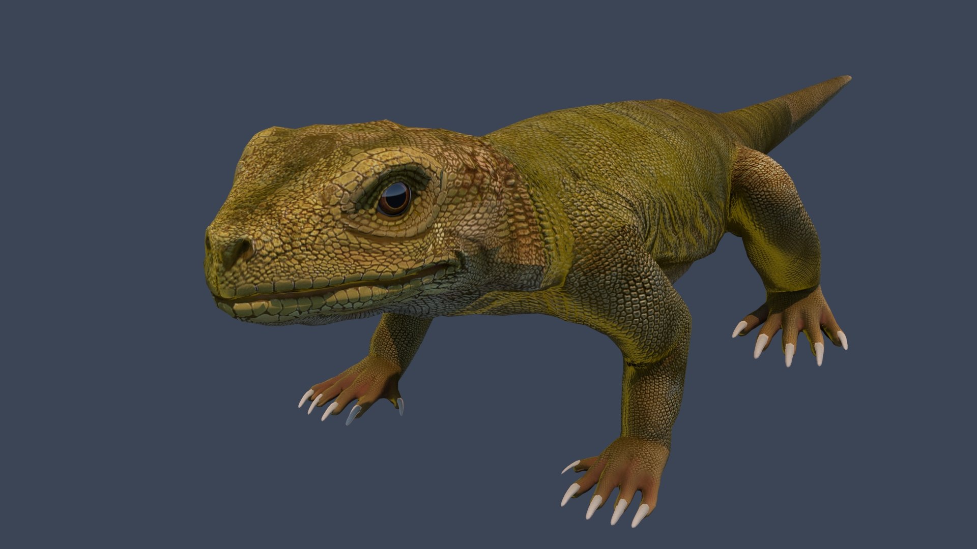 Lizard 3D Model - TurboSquid 2253129