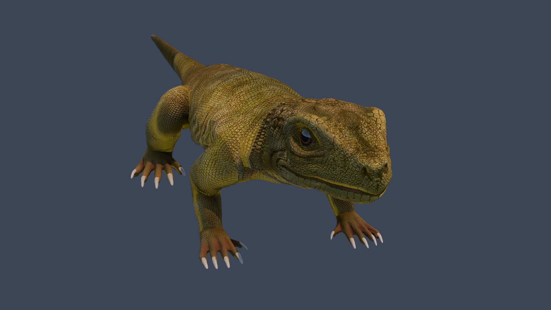 Lizard 3D Model - TurboSquid 2253129