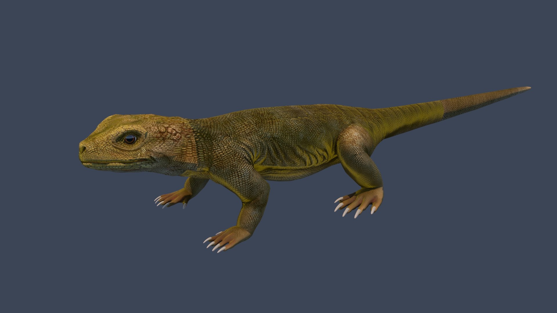 Lizard 3D Model - TurboSquid 2253129