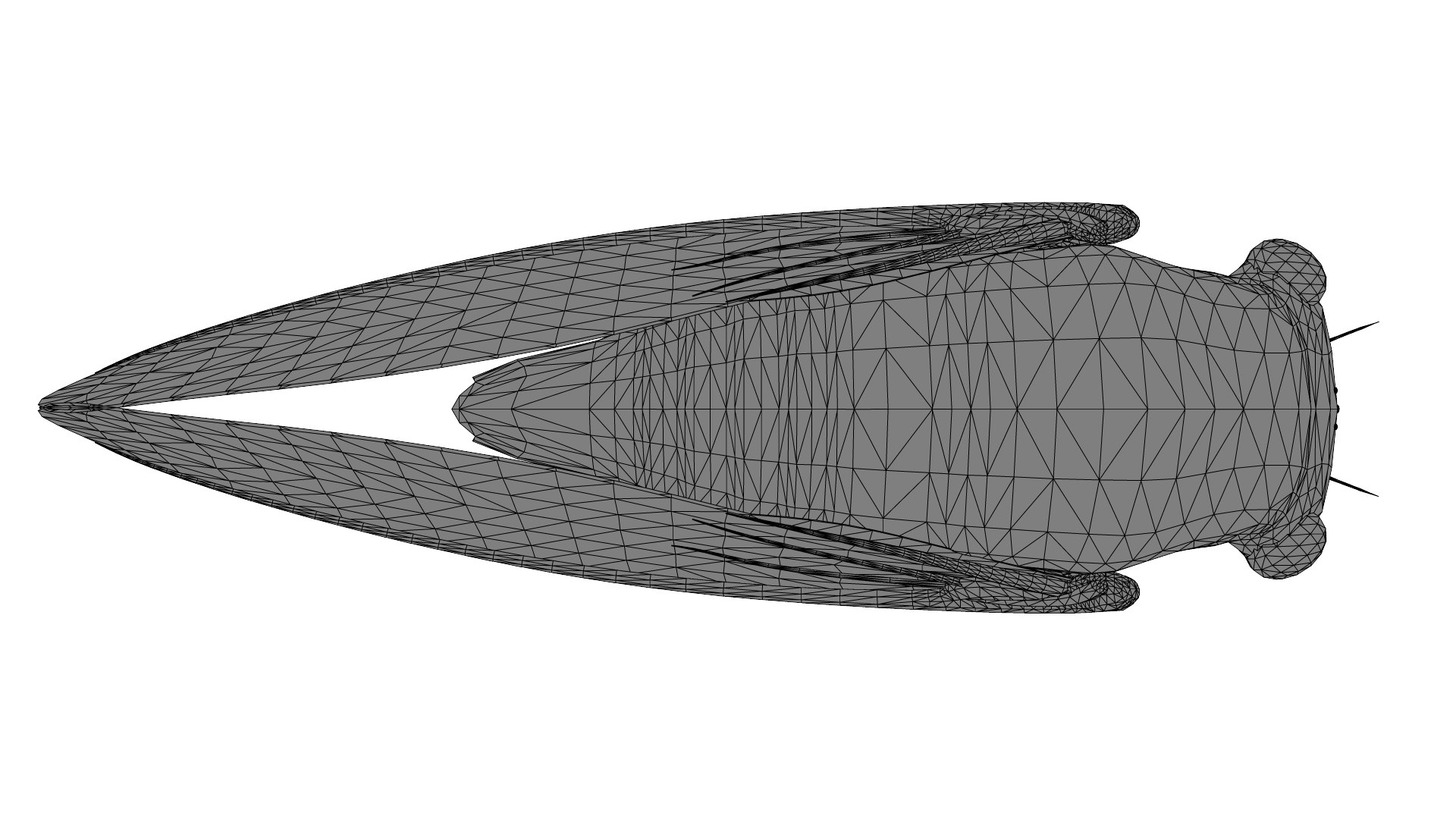 3d Model Rigged Cicada