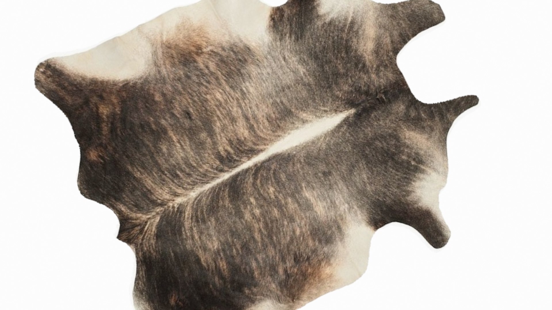 Cow Hide 3D Model - TurboSquid 1631789