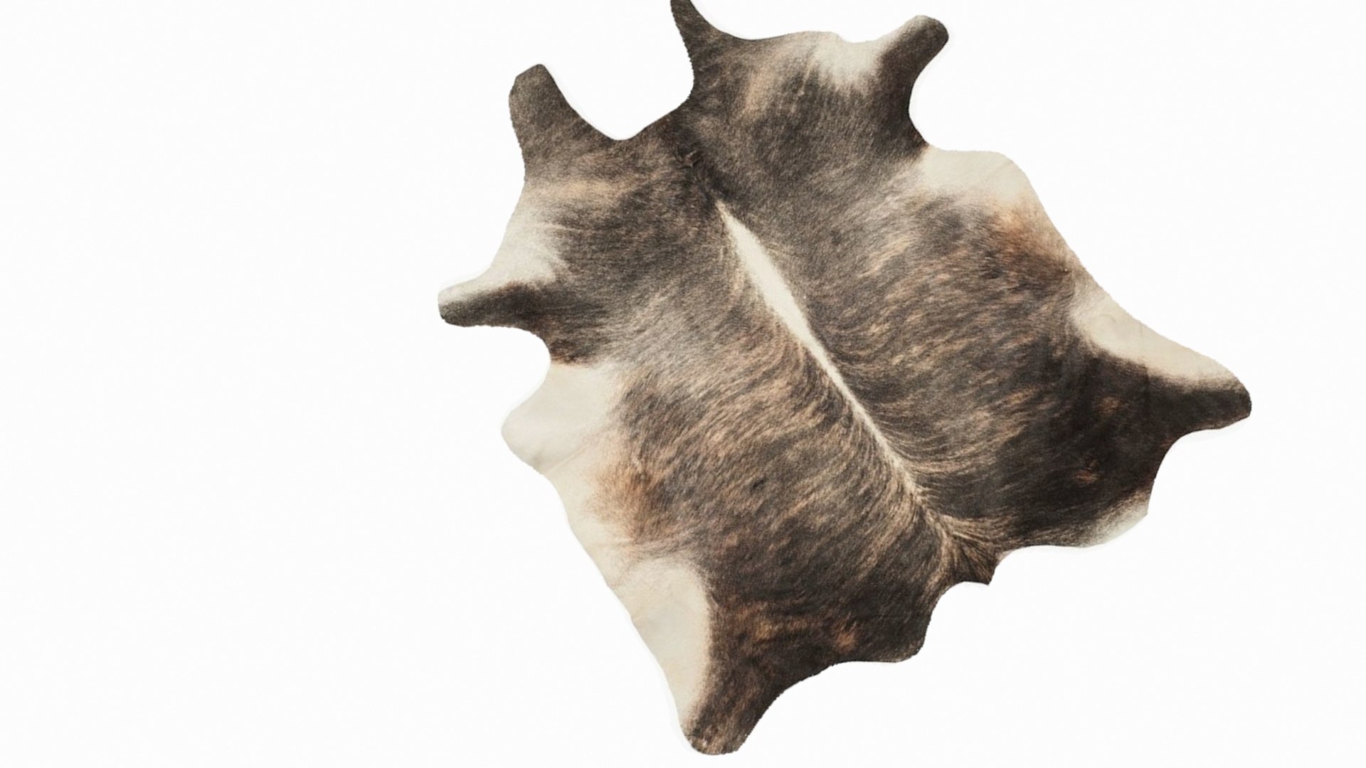 Cow Hide 3D Model - TurboSquid 1631789
