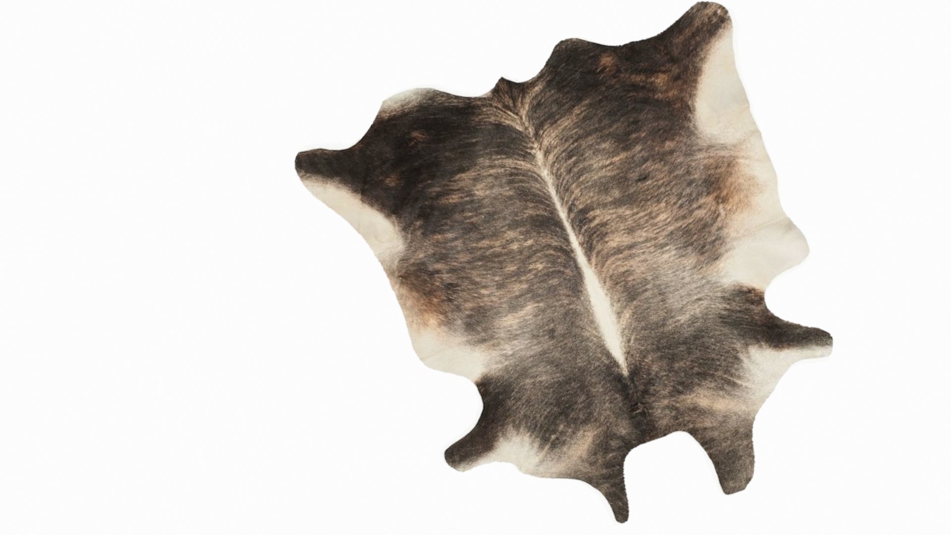 Cow Hide 3D Model - TurboSquid 1631789