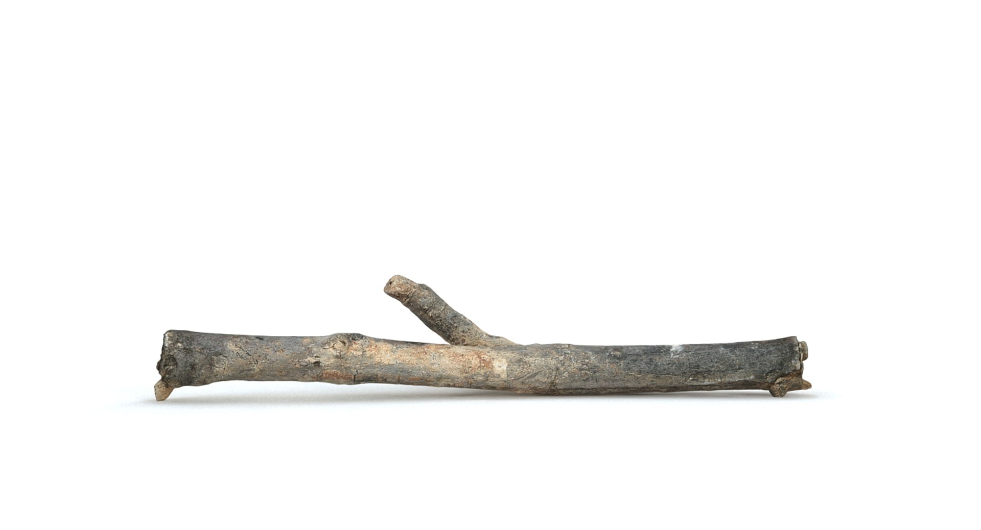 photorealistic stick c4d