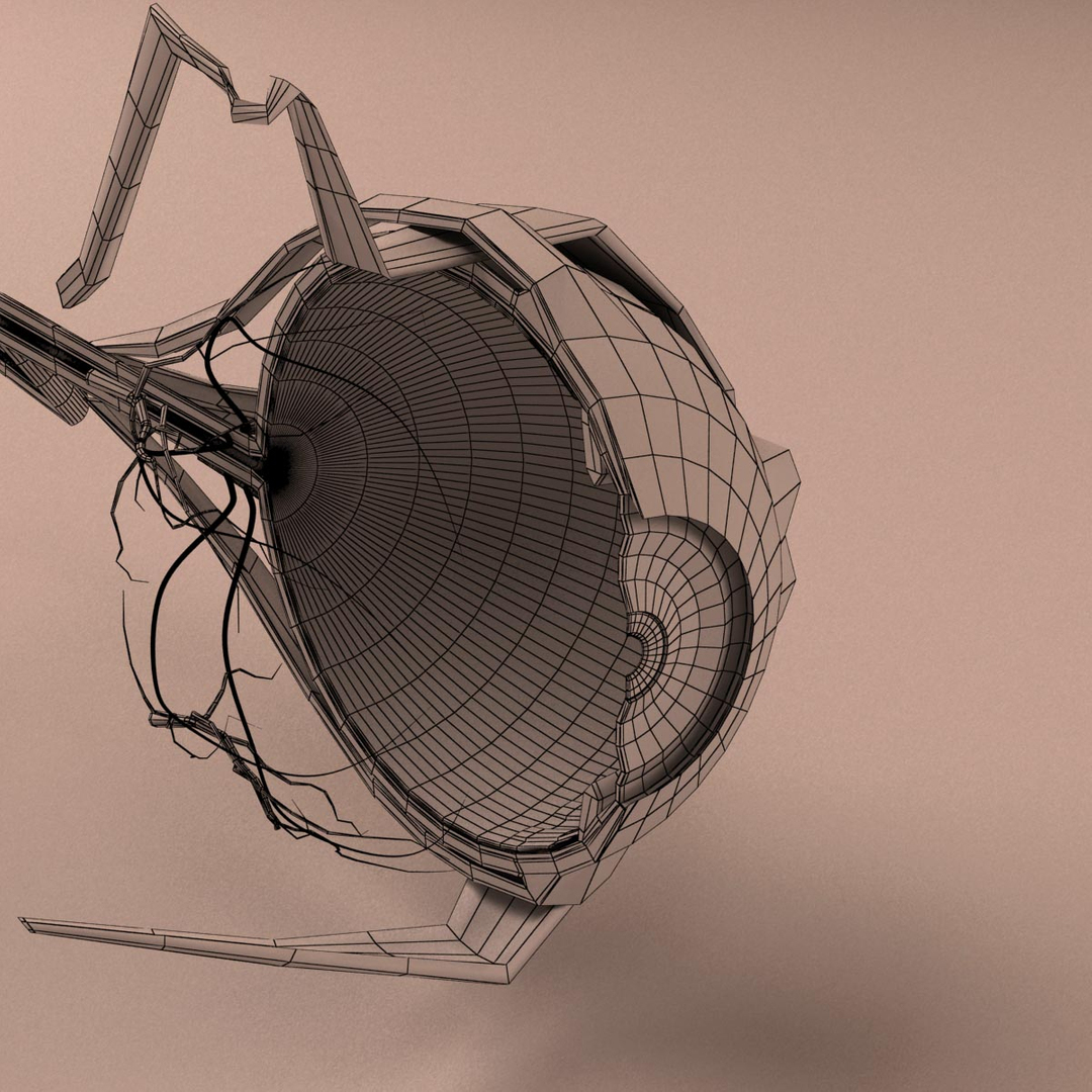 3d Model Human Eye Section