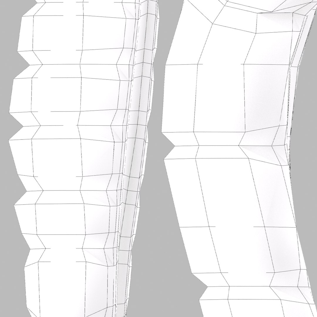 Large Intestine 3d Model