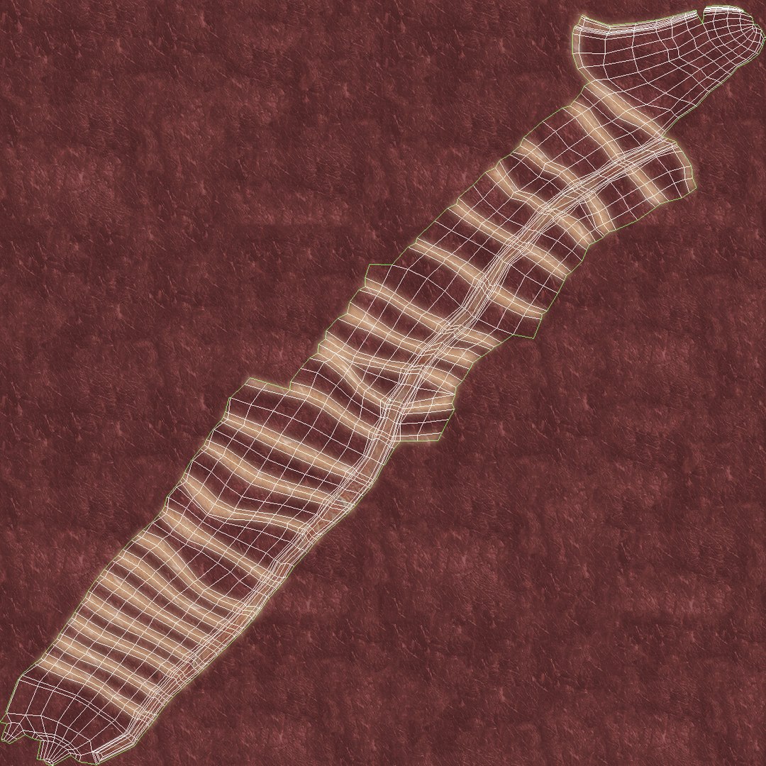 Large Intestine 3d Model