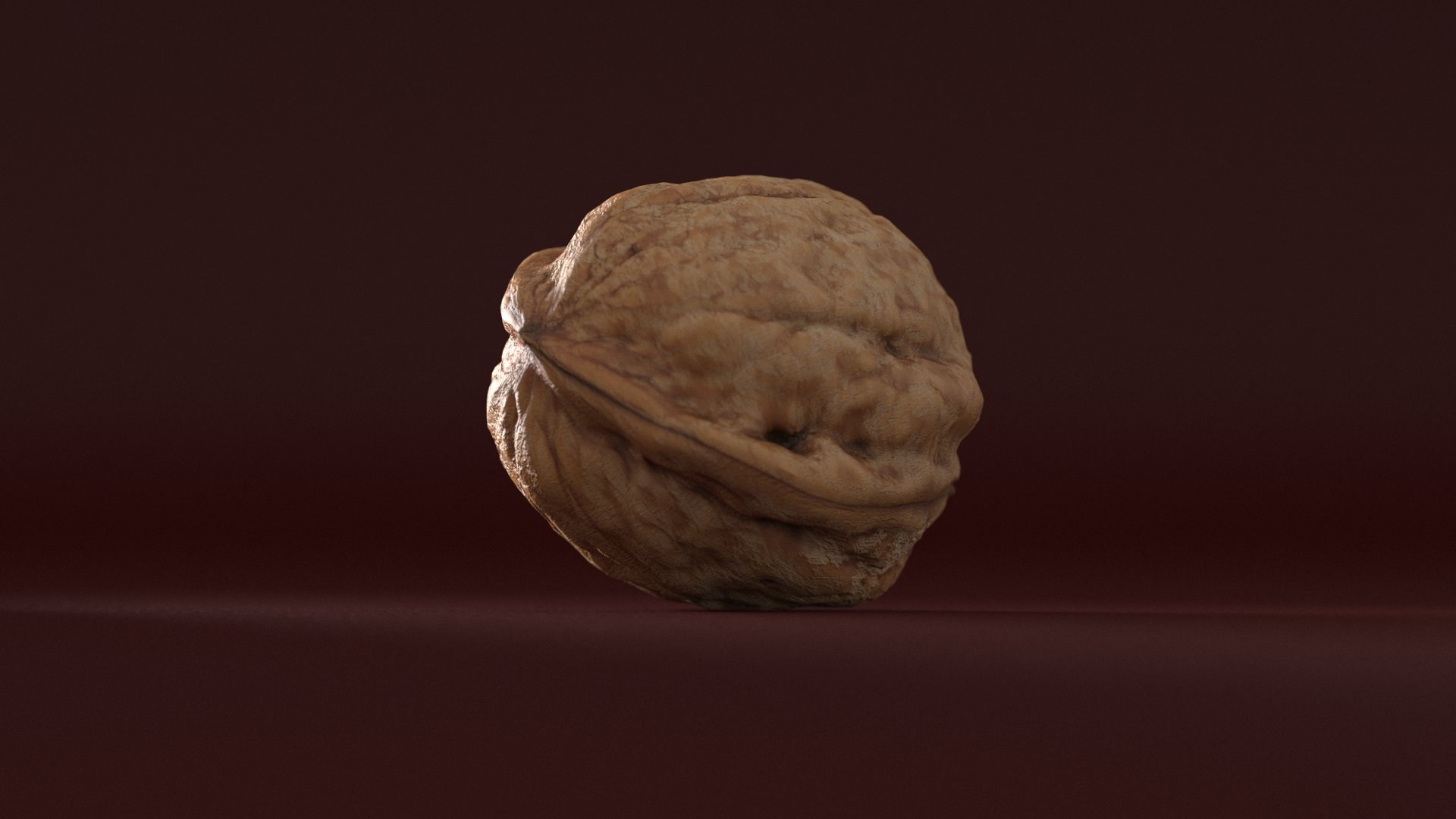 Walnut Nut 3D Model - TurboSquid 1444625
