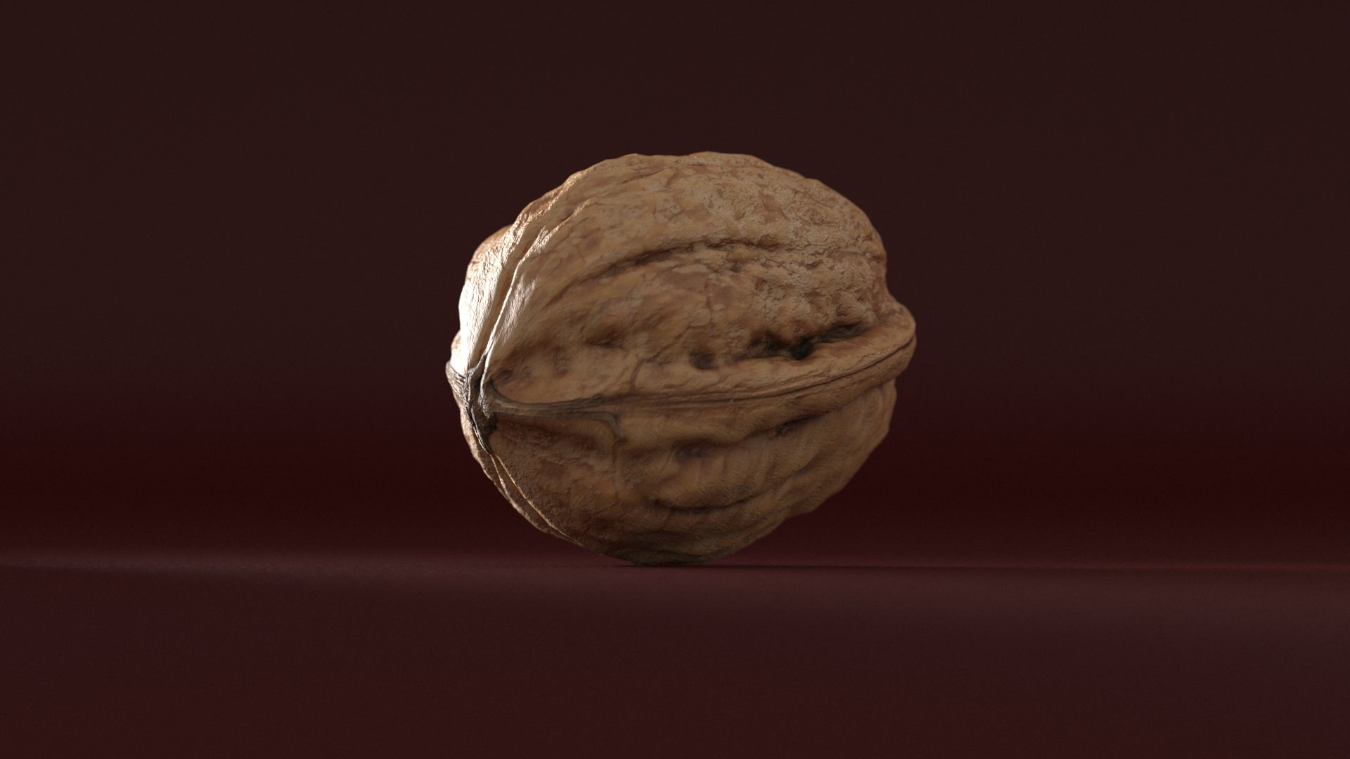 Walnut Nut 3D Model - TurboSquid 1444625