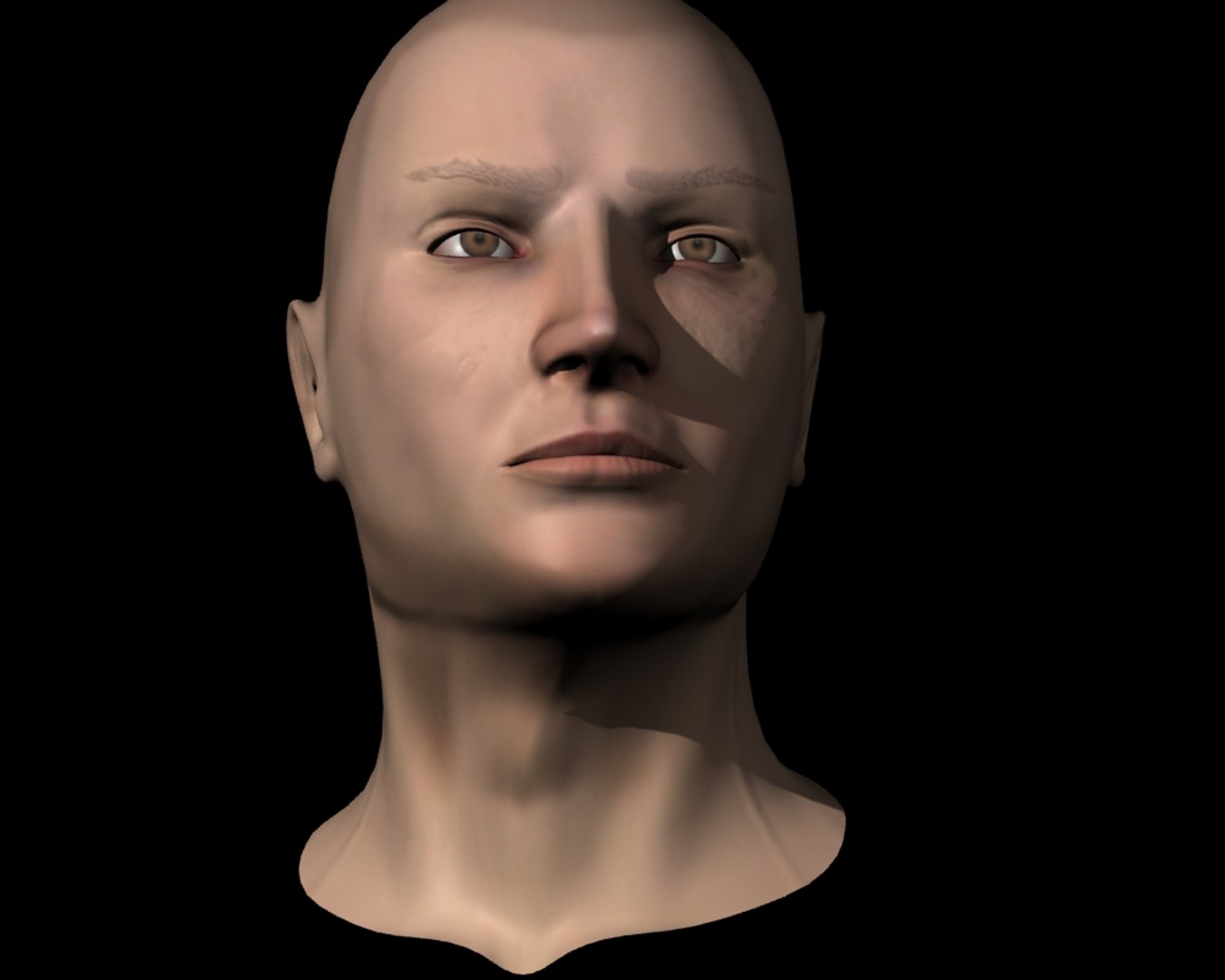 Character Head Rigged 3d Model