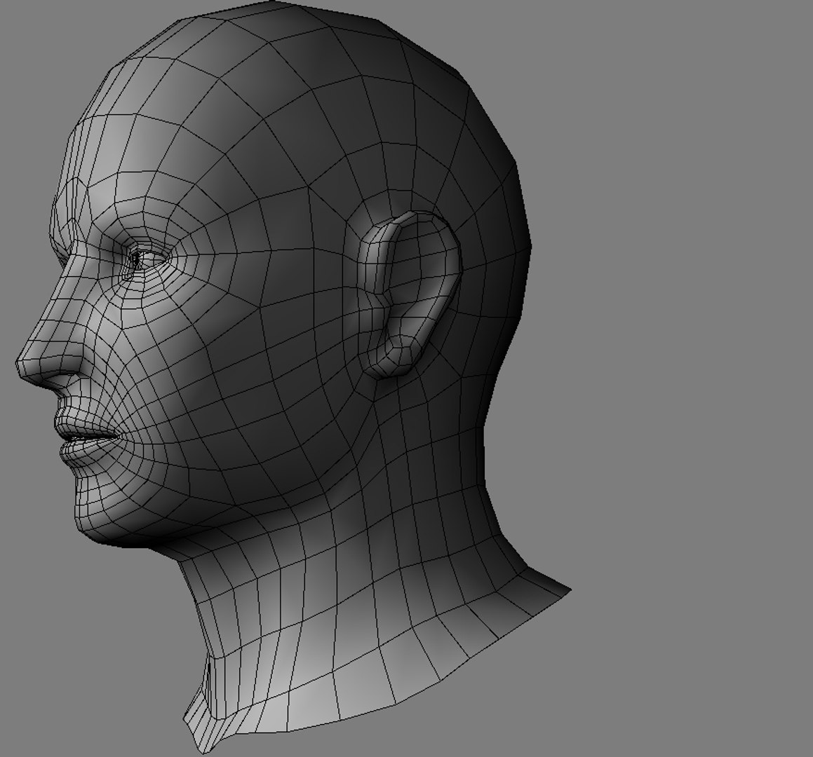 Character Head Rigged 3d Model