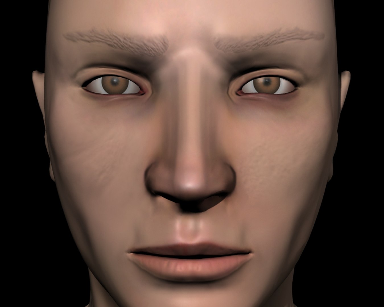 Character Head Rigged 3d Model