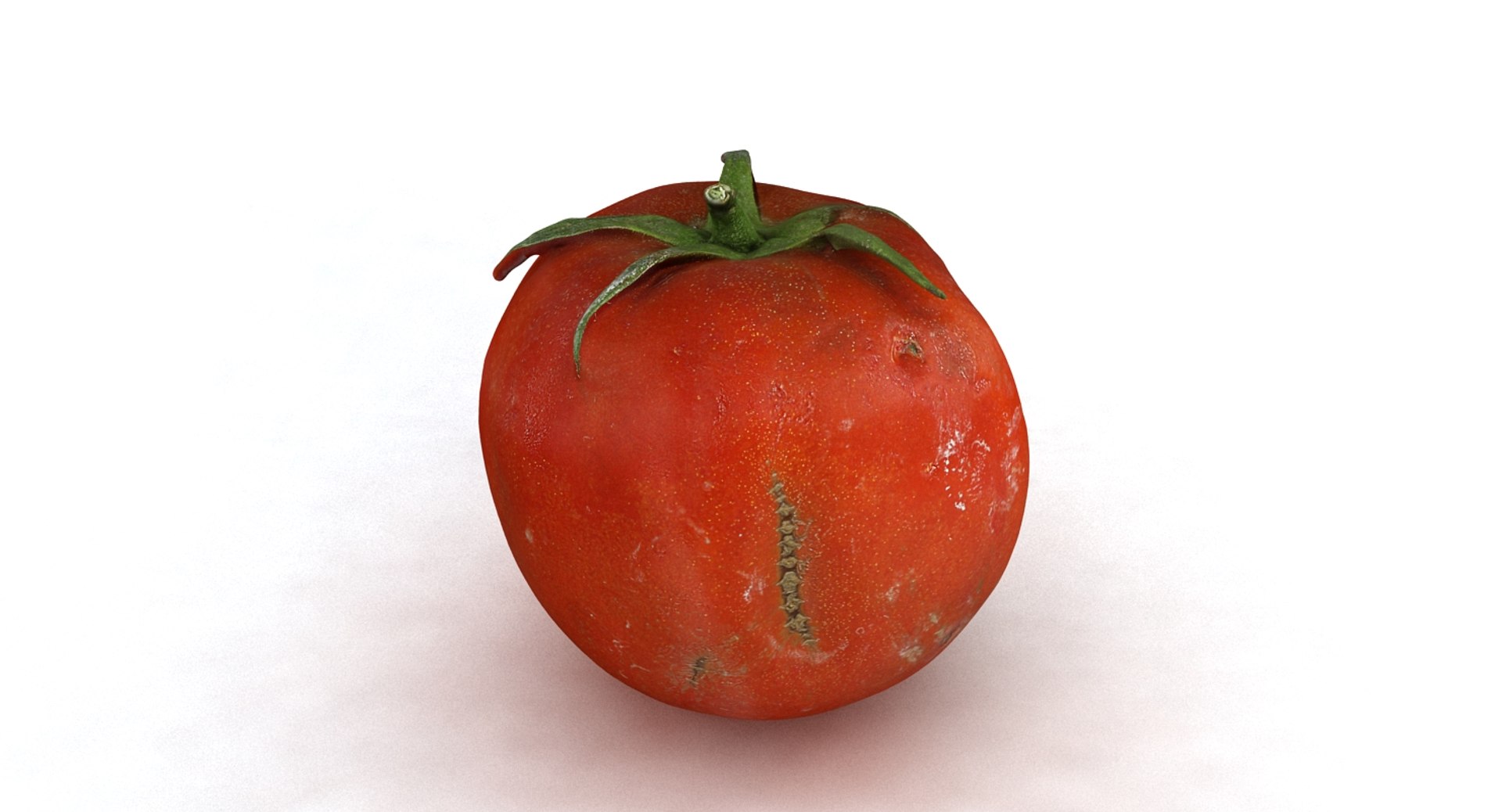 Tomato Max