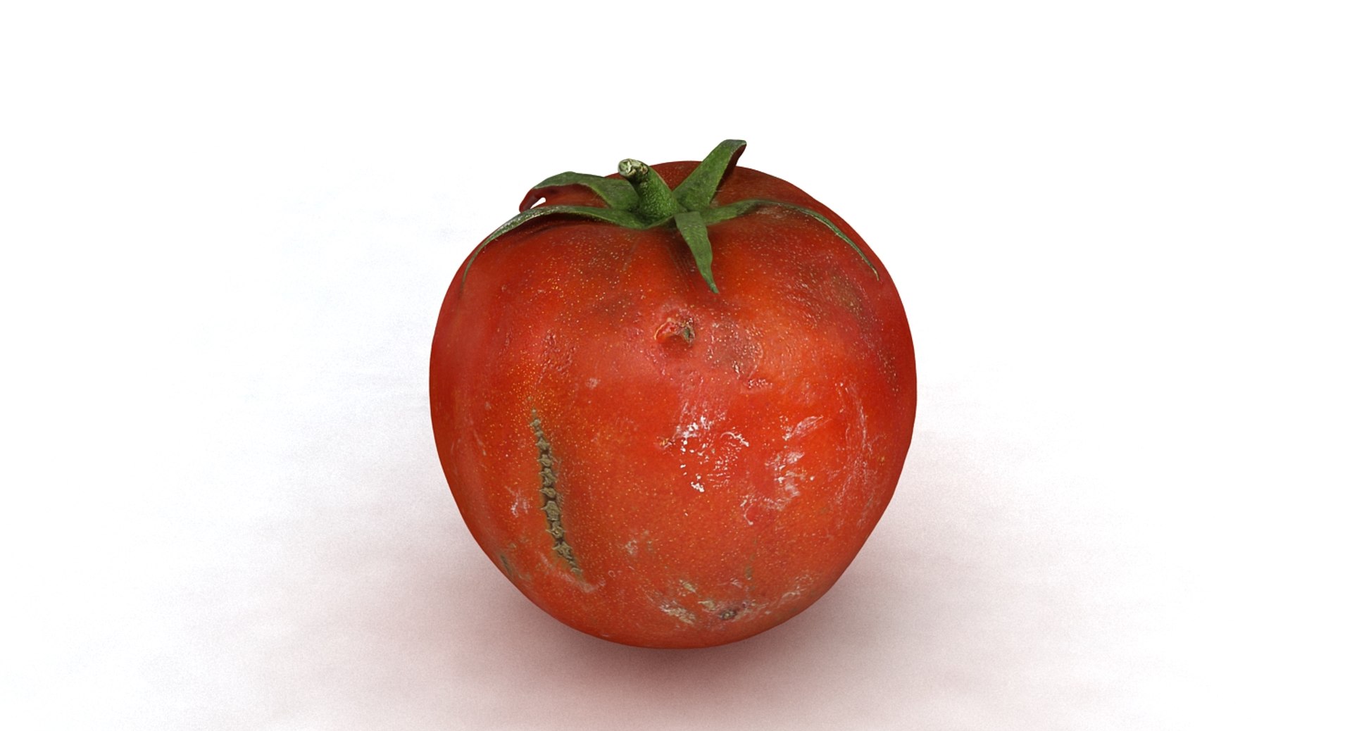 Tomato Max