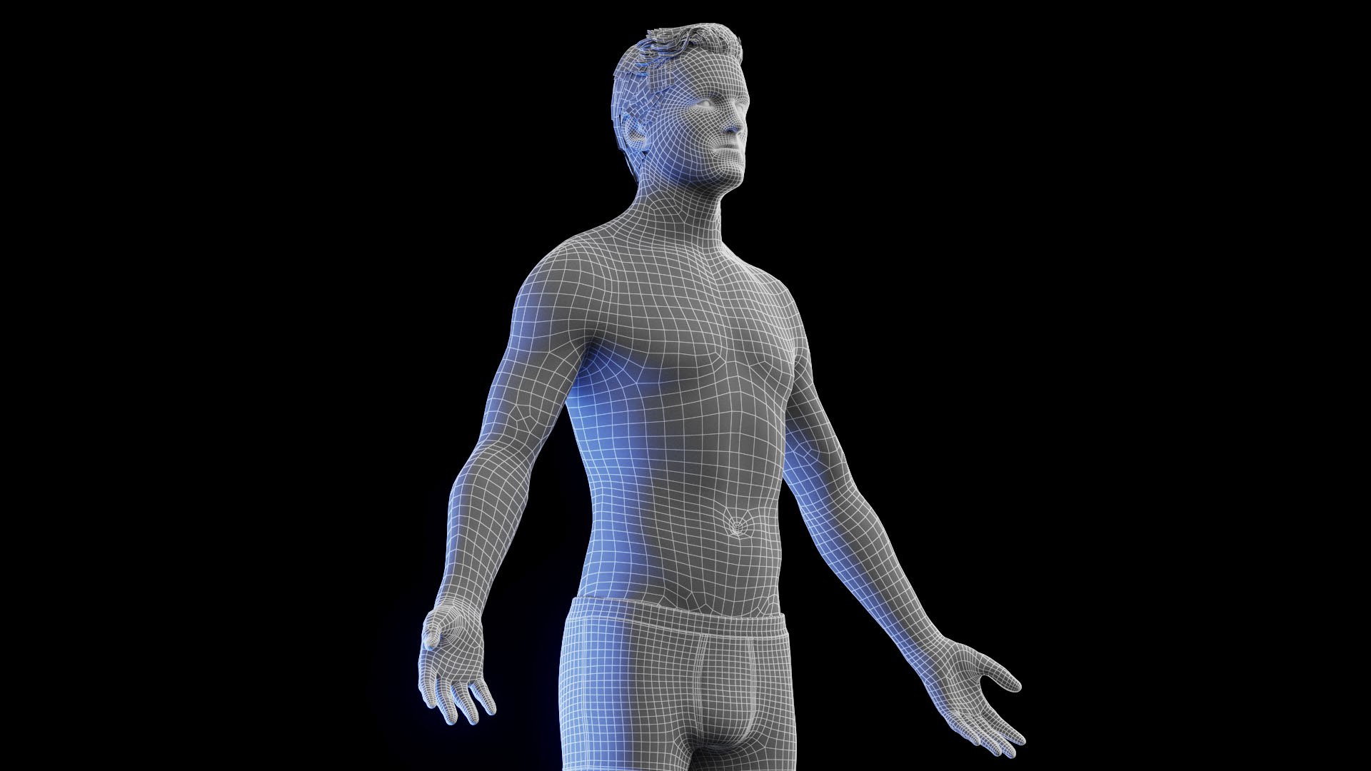 Human Male Anatomy Body 3D - TurboSquid 2013057