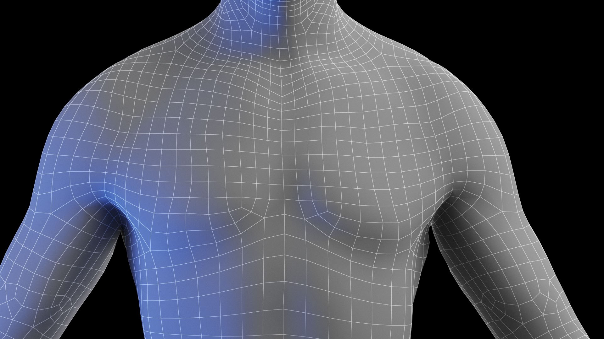 Human Male Anatomy Body 3D - TurboSquid 2013057