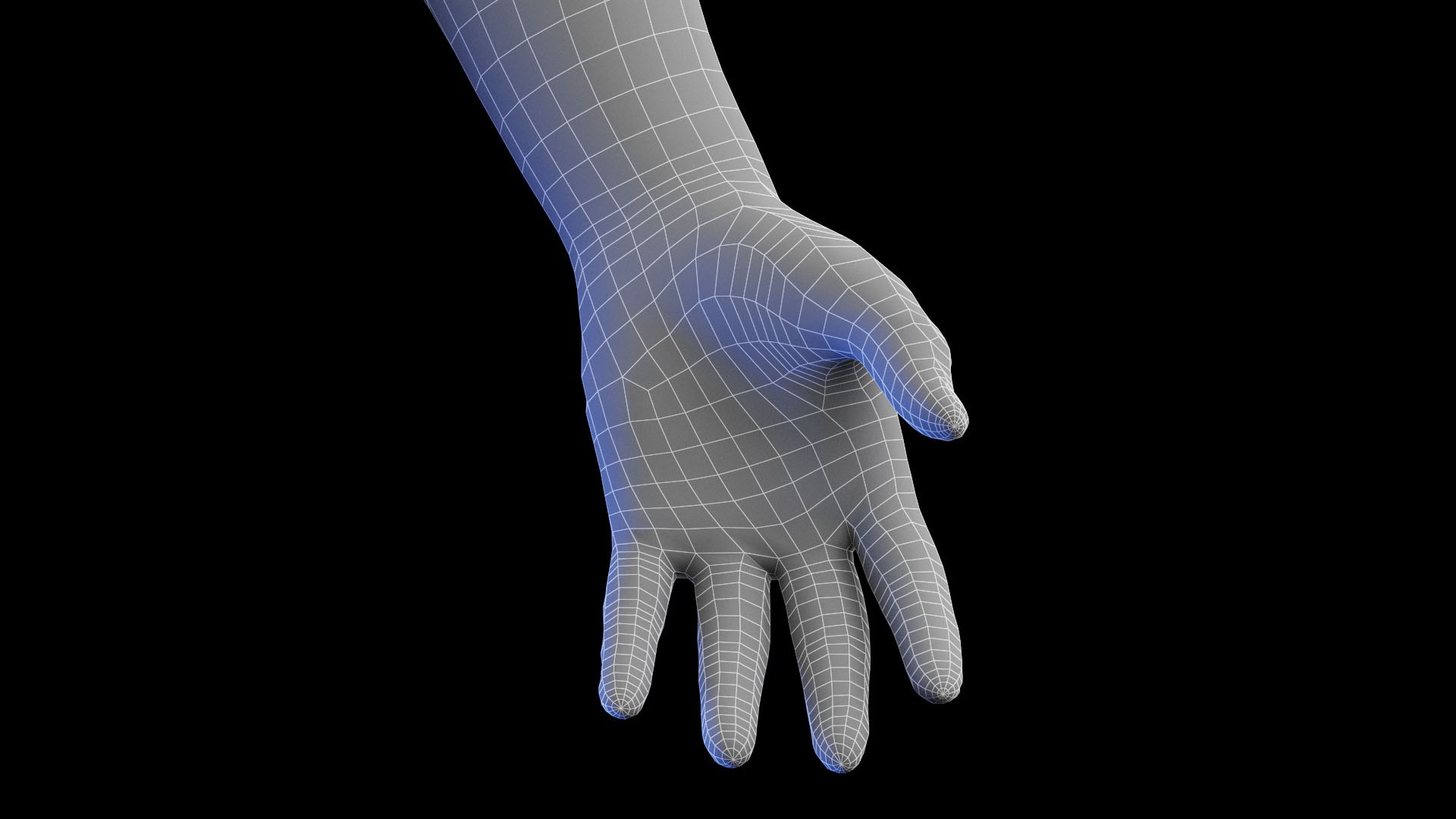 Human Male Anatomy Body 3D - TurboSquid 2013057