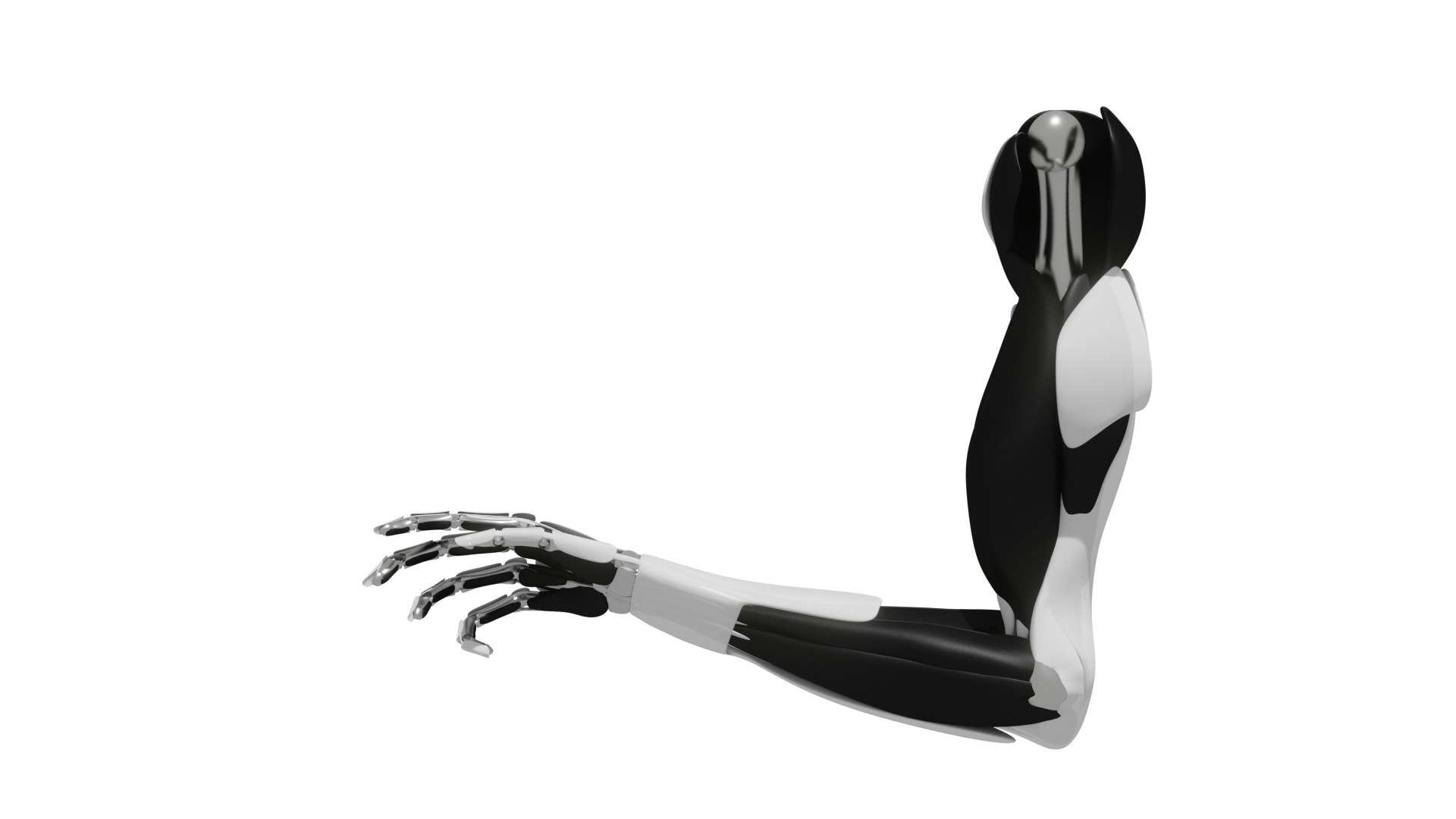 Bionic Arm 3D - TurboSquid 2210730