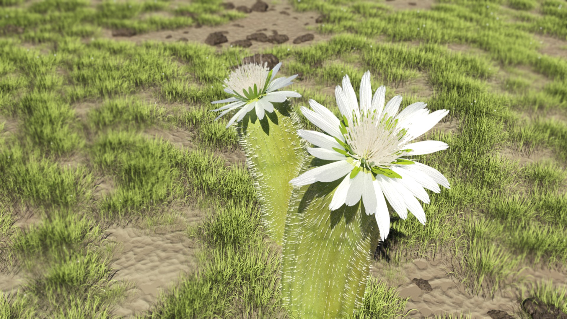 3D Model Desert Plant - TurboSquid 1876932