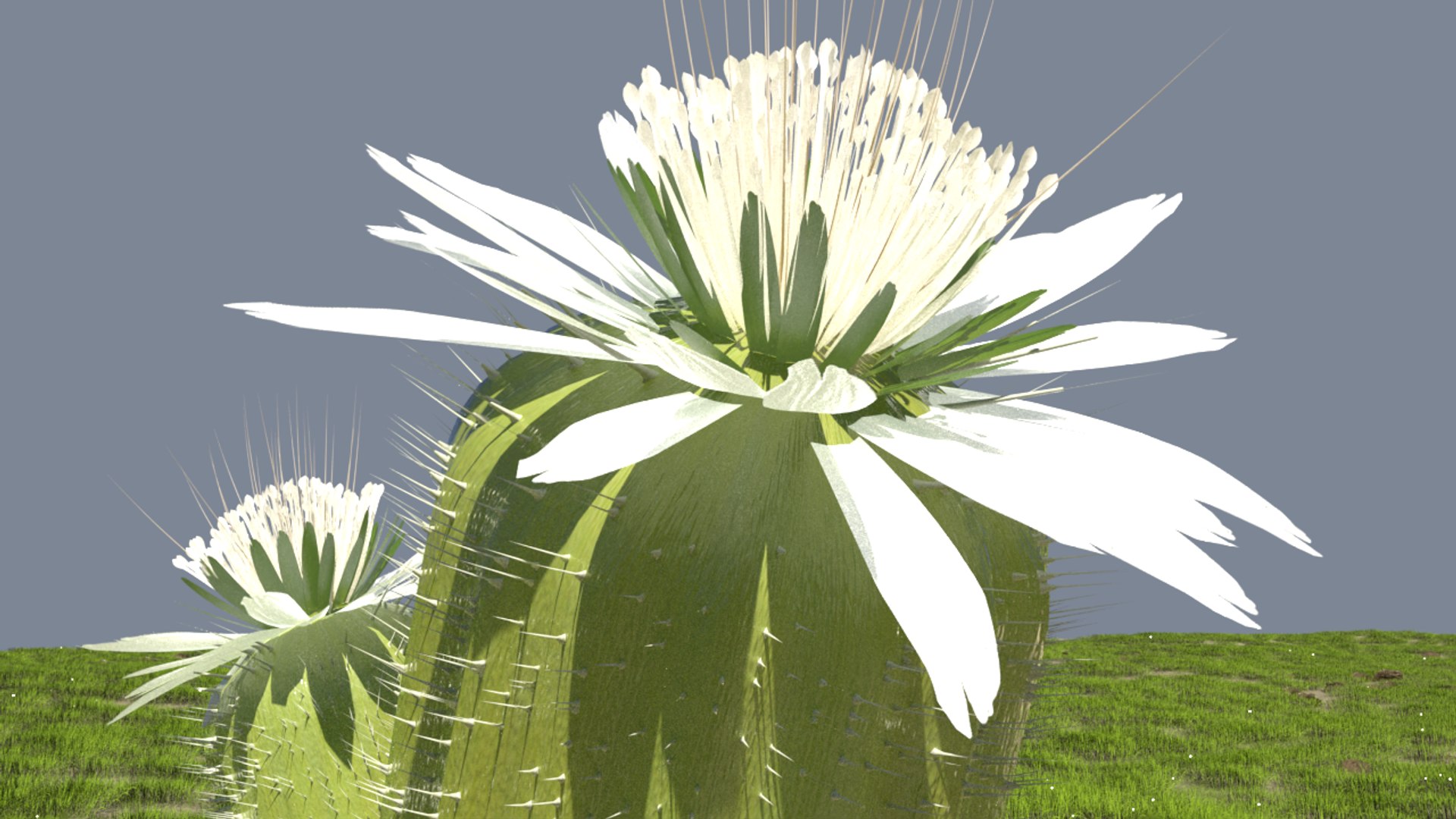 3D Model Desert Plant - TurboSquid 1876932