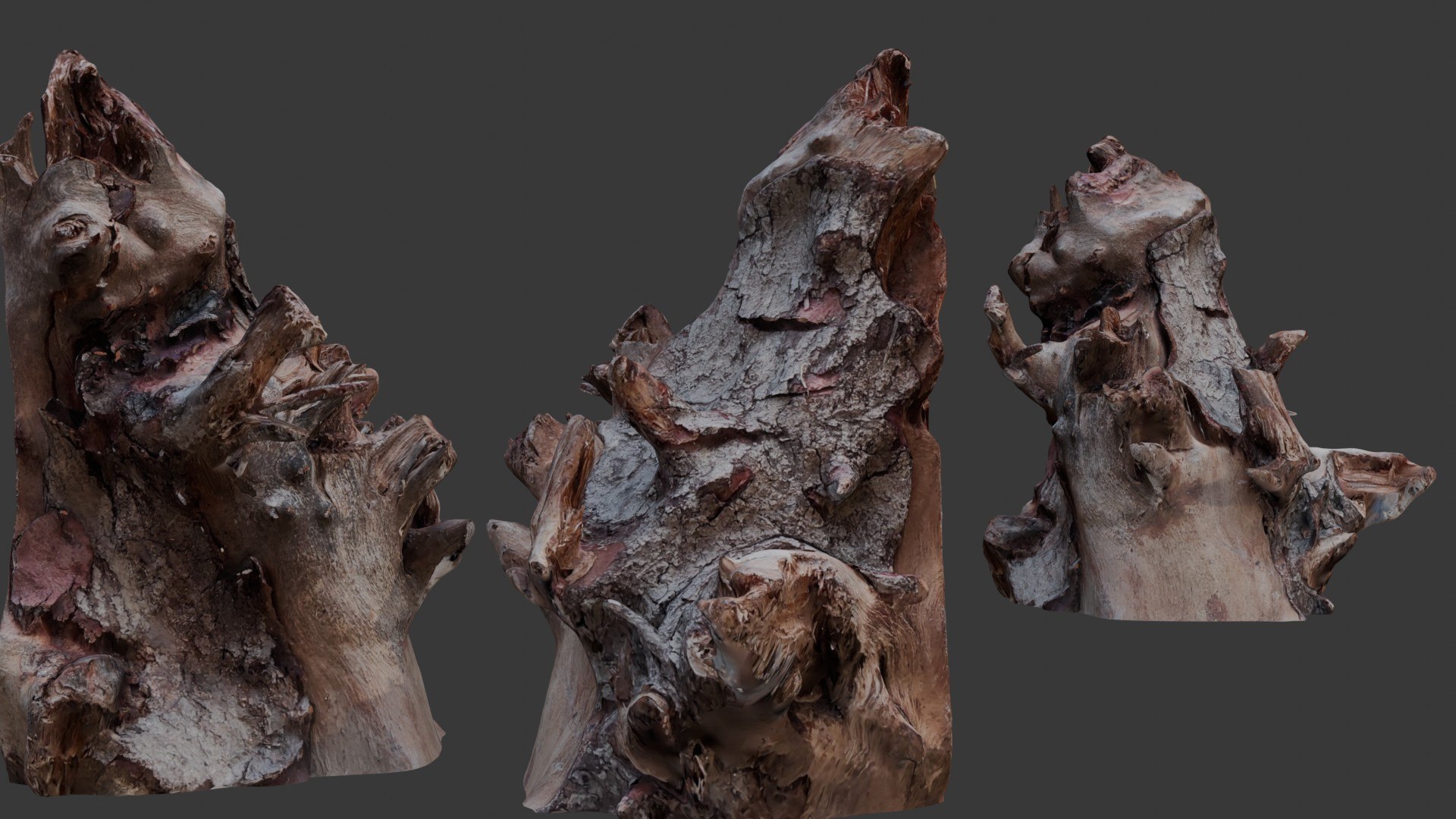 3D Model Gnarled Tree Stump 3D Scan - TurboSquid 2404873