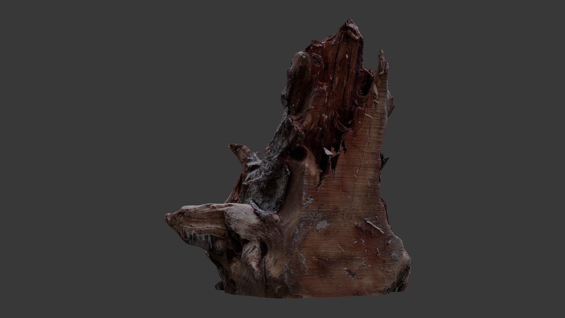 3D Model Gnarled Tree Stump 3D Scan - TurboSquid 2404873