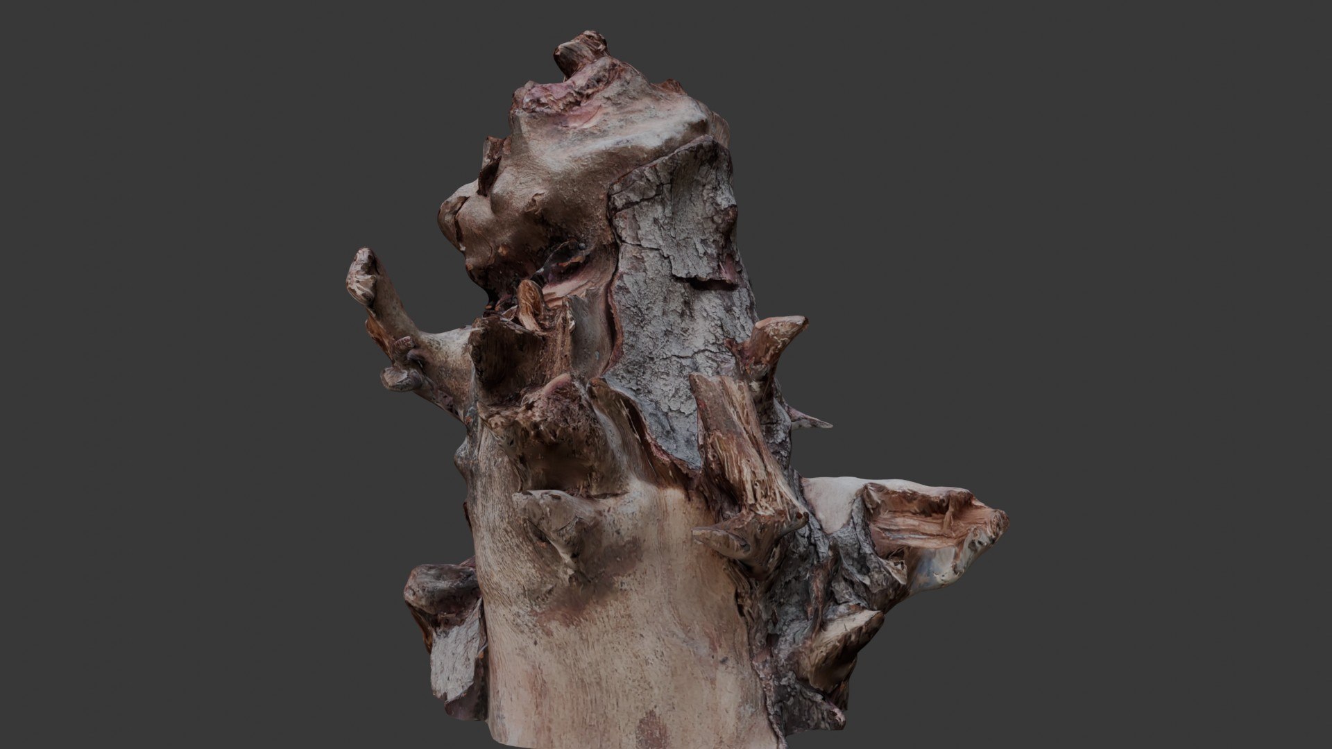 3D Model Gnarled Tree Stump 3D Scan - TurboSquid 2404873