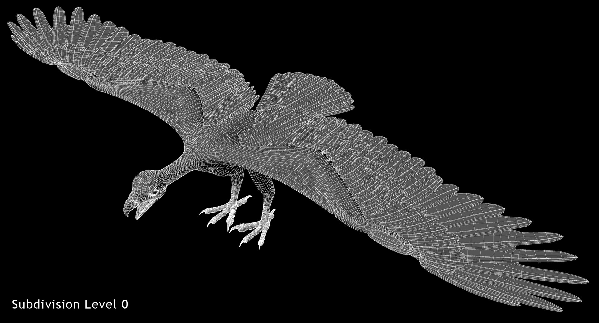 Eagle Skeleton Flying