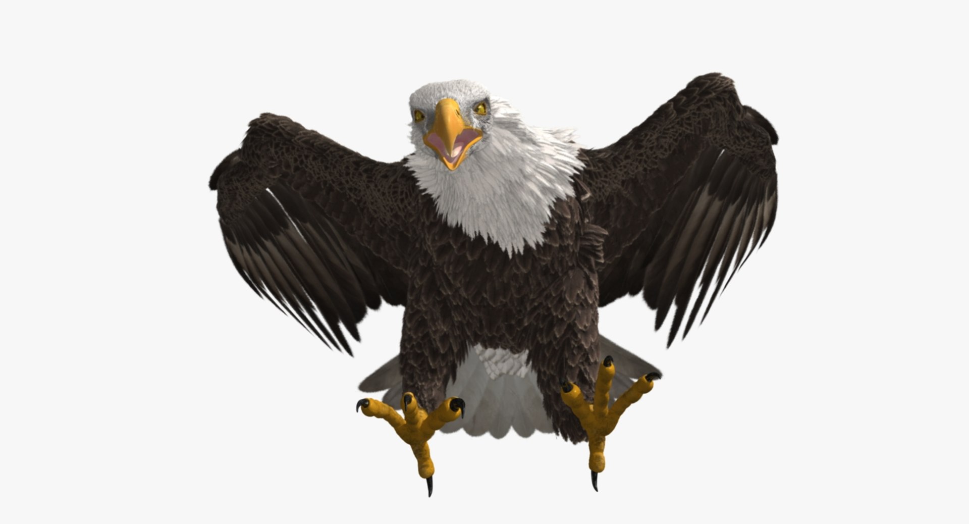3d bald eagle