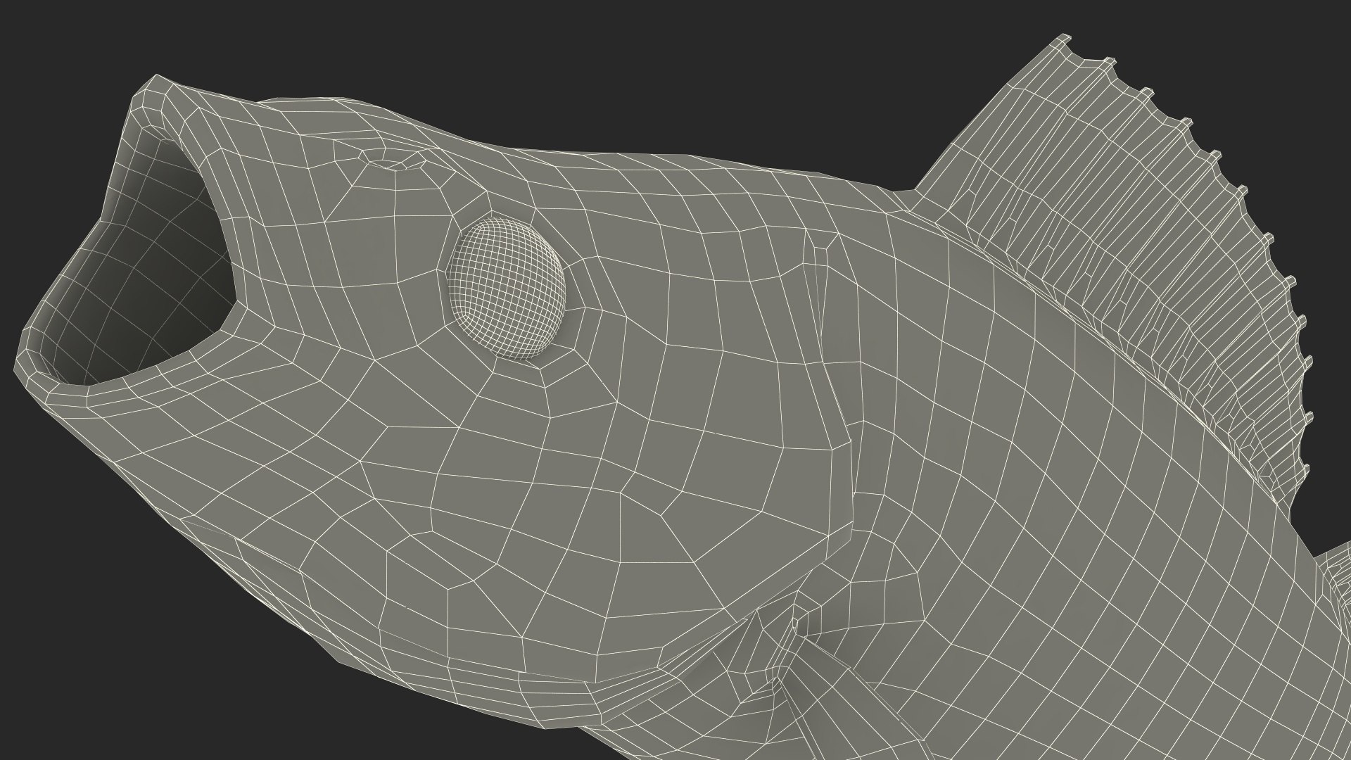 Perca Fluviatilis 3D model - TurboSquid 2166899