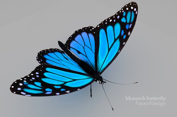 3d model blue butterfly