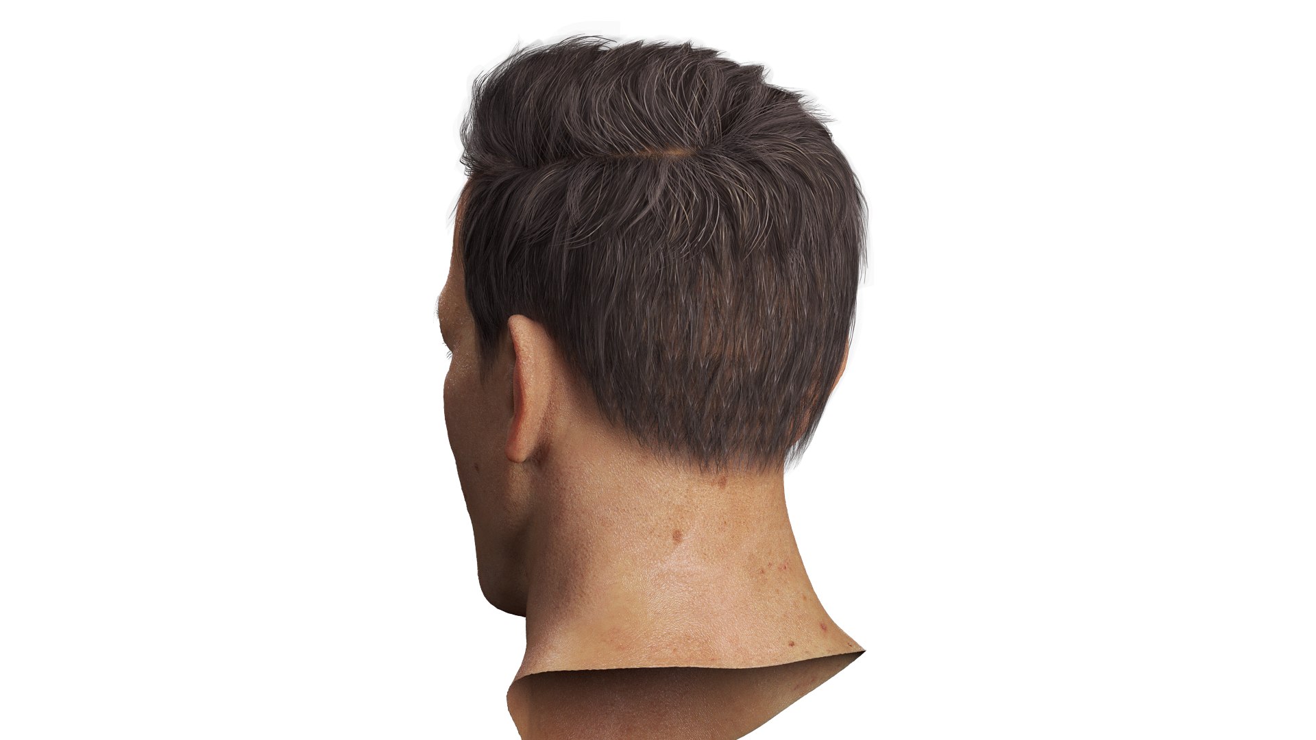 3D Model Realistic Model Of Male Head - TurboSquid 1729432