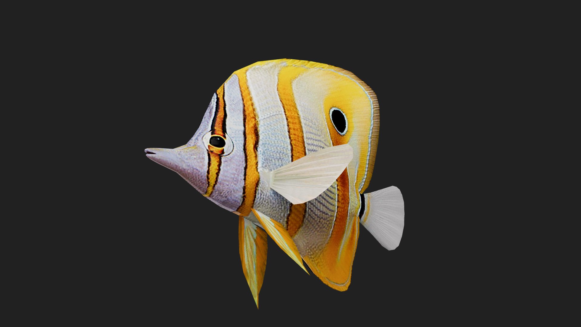Butterflyfish 3D - TurboSquid 2122896