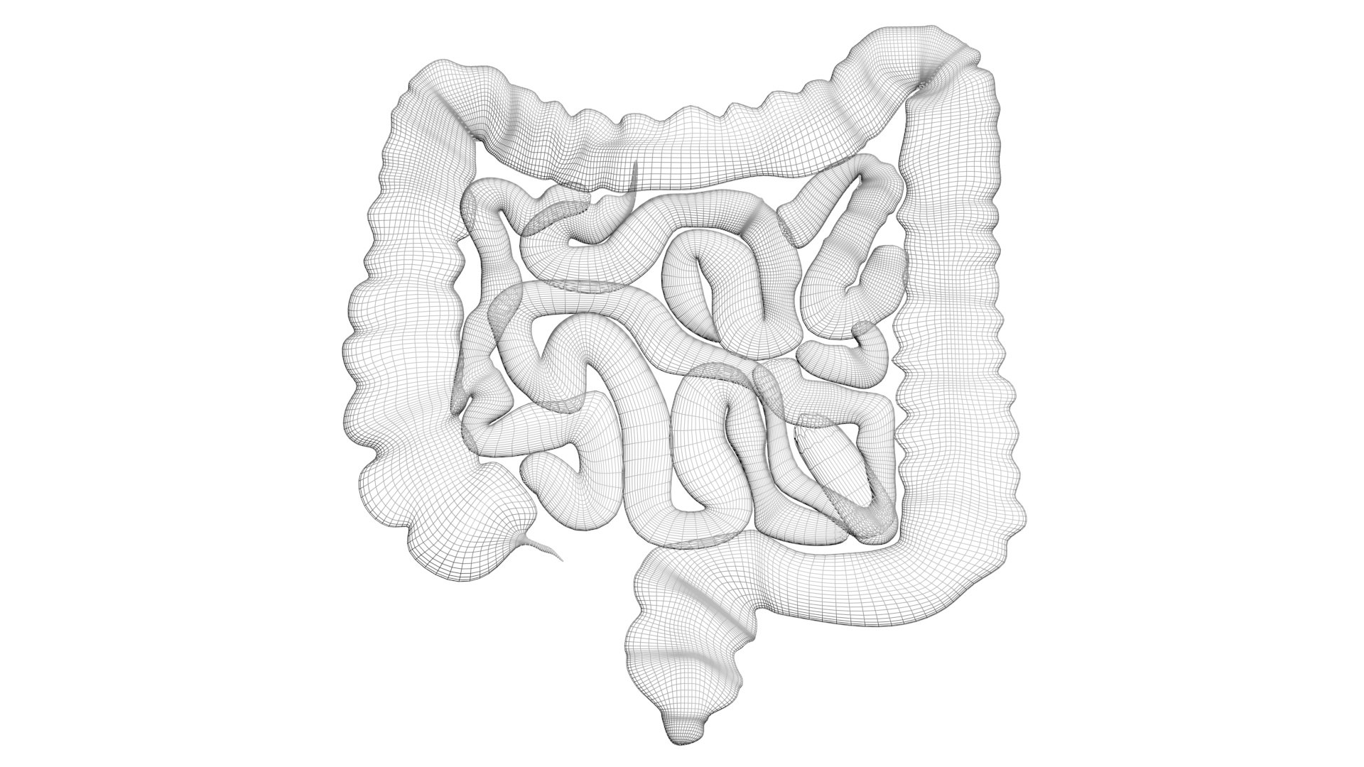 3D Intestine - TurboSquid 2247531