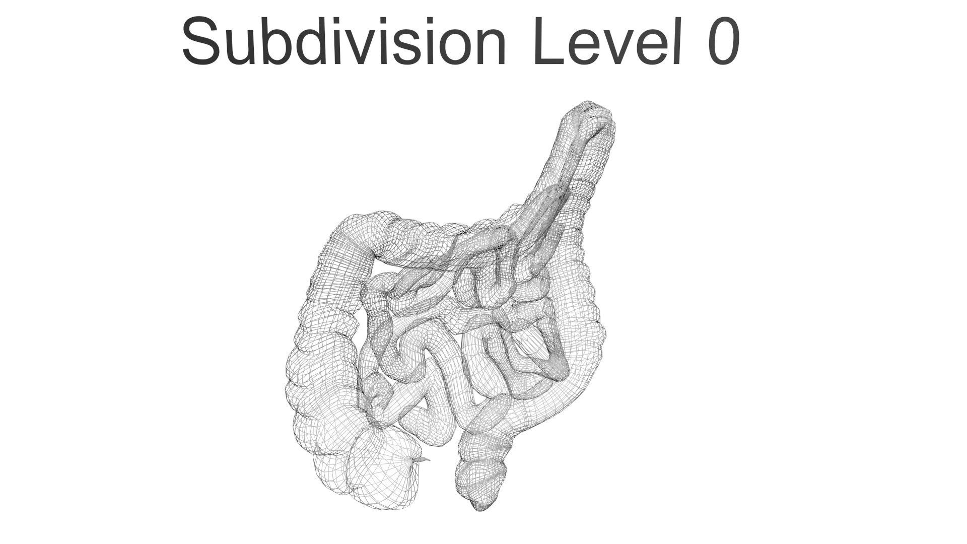 3D Intestine - TurboSquid 2247531