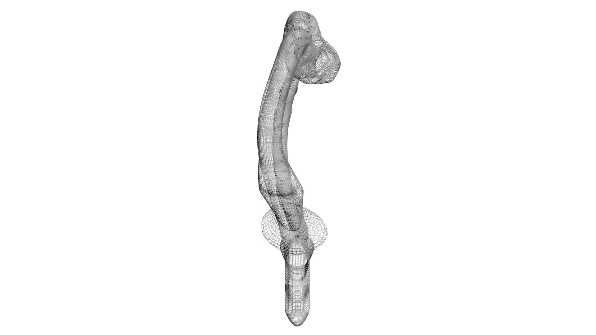 3D Intestine - TurboSquid 2247531