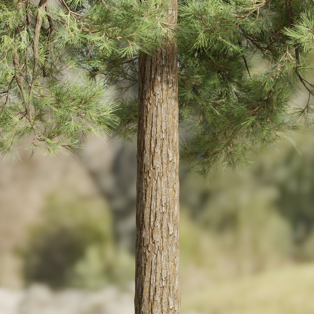 3D Pine trees collection vol 178-Blender-3dmodel - TurboSquid 2163856