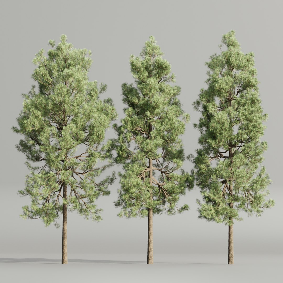 3D Pine trees collection vol 178-Blender-3dmodel - TurboSquid 2163856