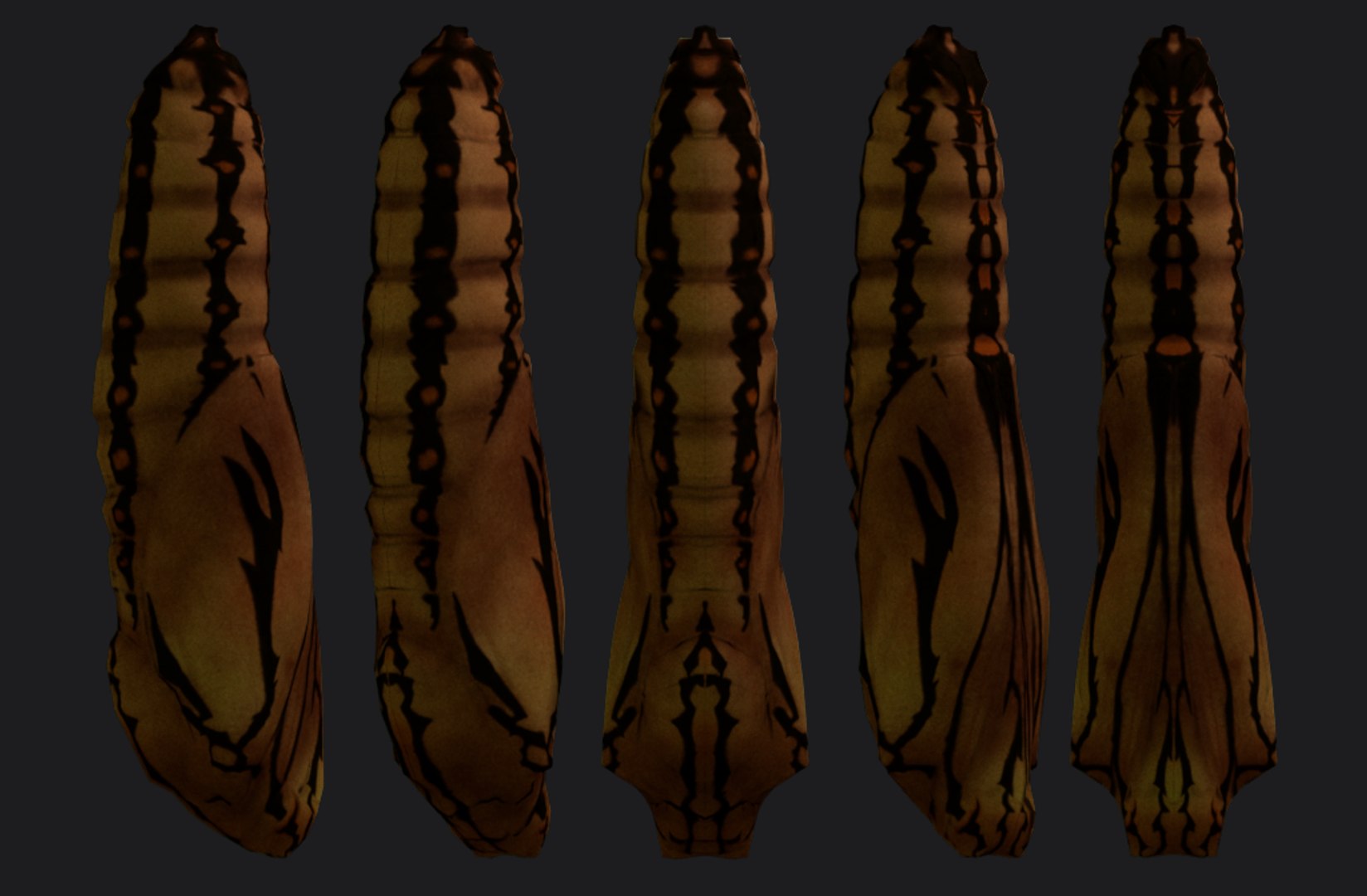 3D Chrysalis Model - TurboSquid 1309872