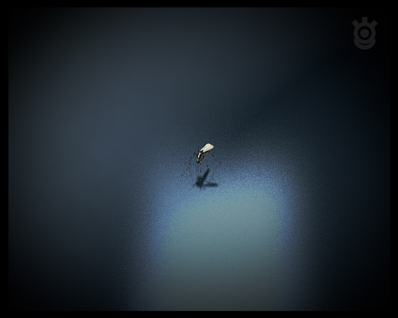 Mosquito 3d Max