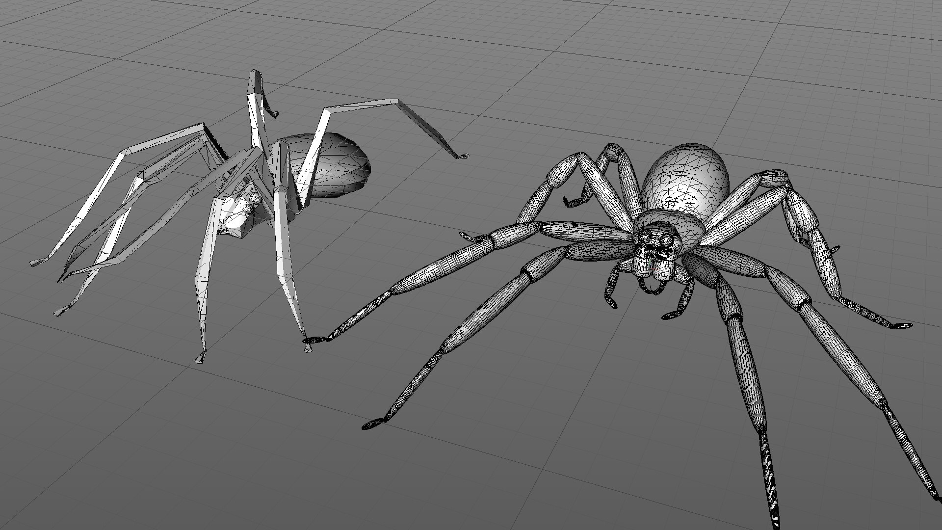 3D Tarantula Insect Spider Model - TurboSquid 1690032